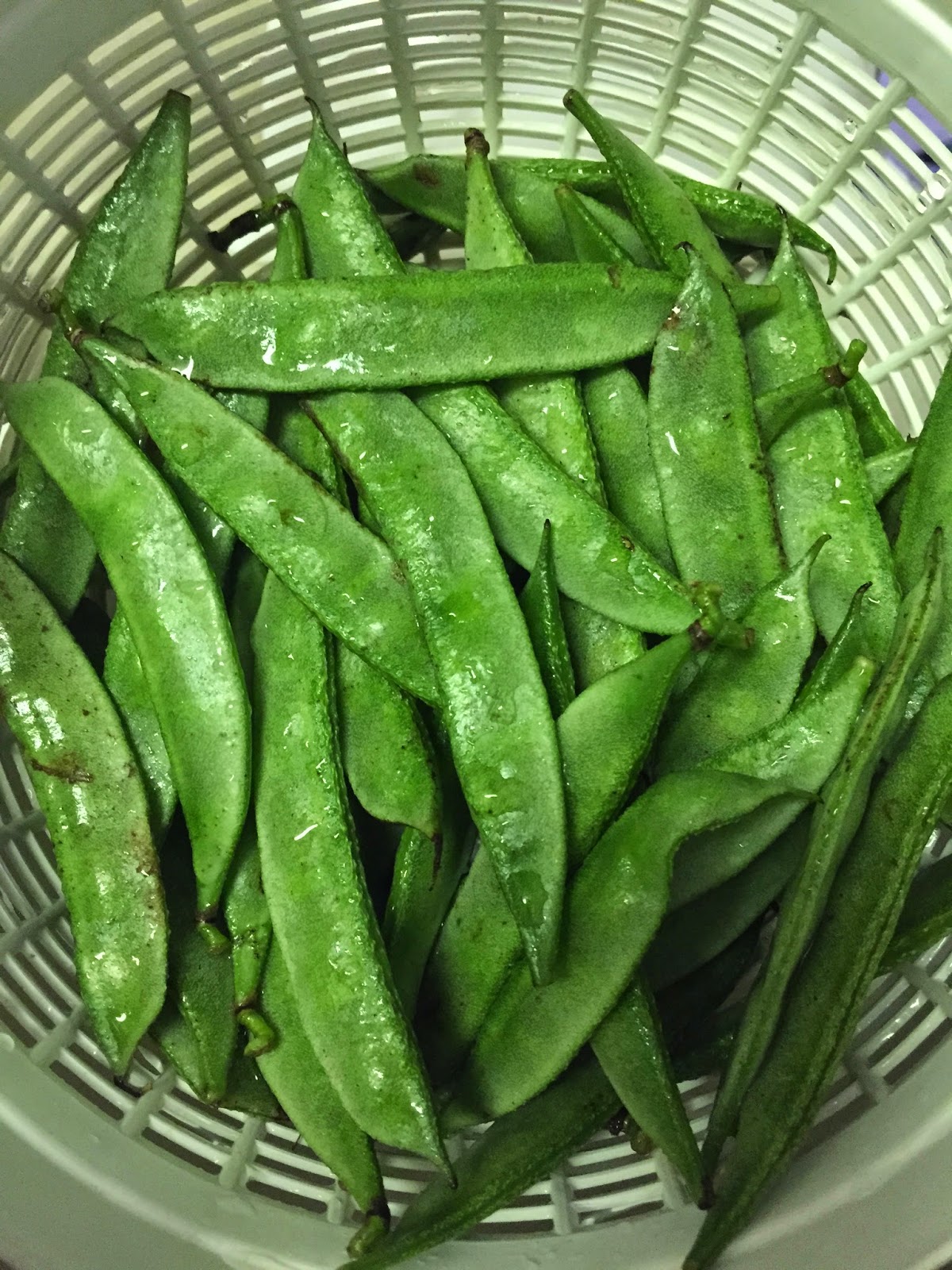 Chikkudukaya Nuvulapodi Kura (Broad beans Curry with Sesame Powder ...