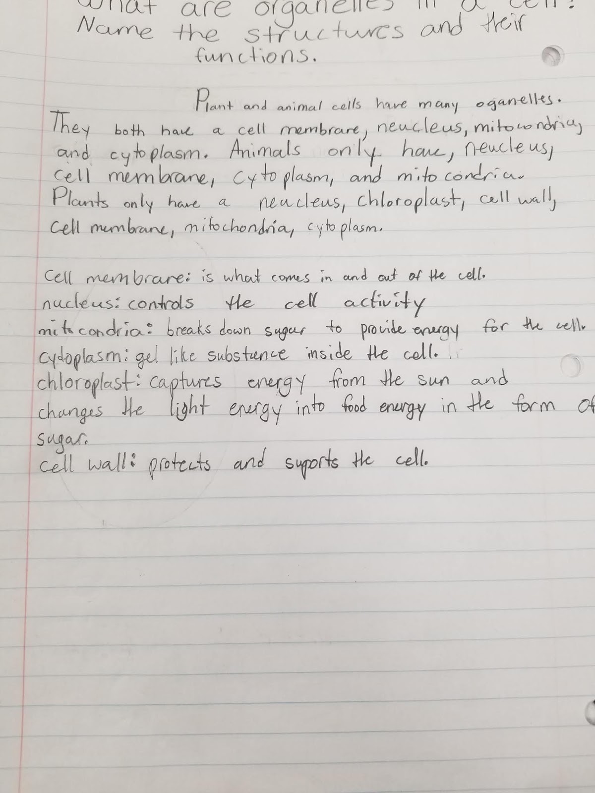 Student Output Samples from the Middle School Science Classroom | Polka ...