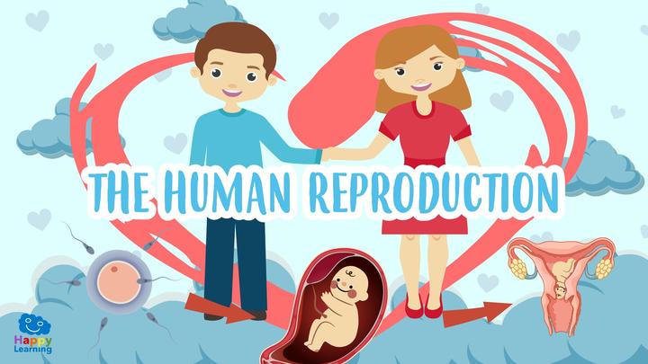 Human Reproduction