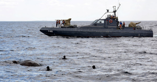 Navy Divers Rescue Drowning Elephant Who Was Washed Out To Sea