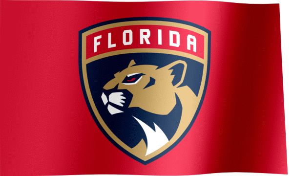 Florida Panthers Flag GIF - All Waving Flags