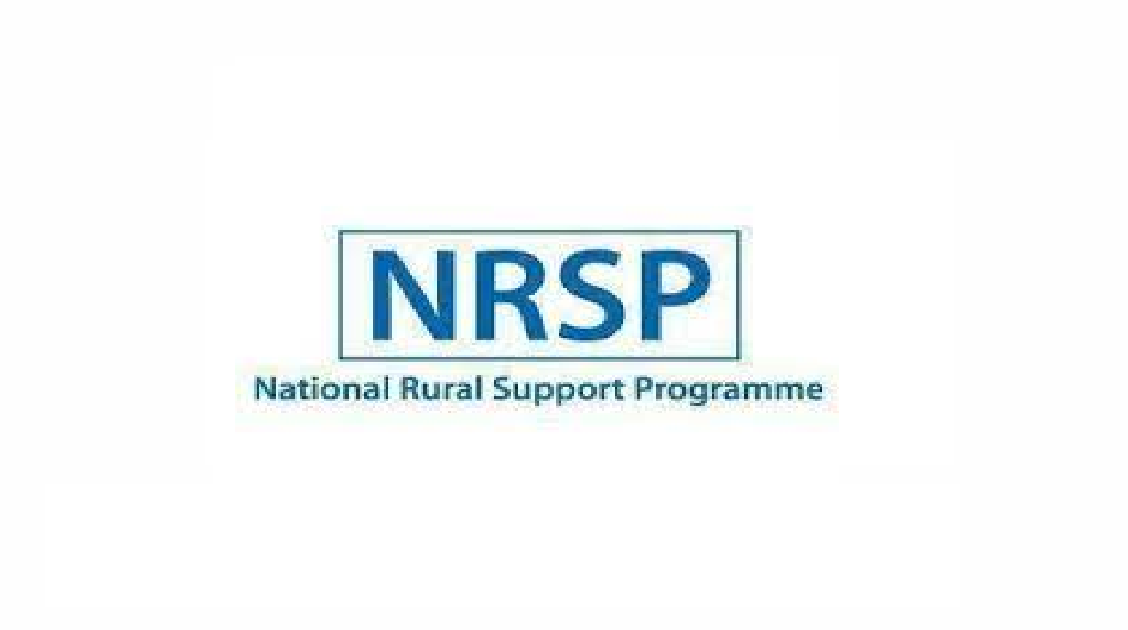 National Rural Support Programme NRSP Management Jobs In Hyderabad 2023