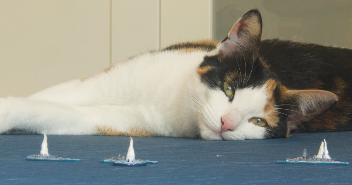 Shell Splash: Catastrophe