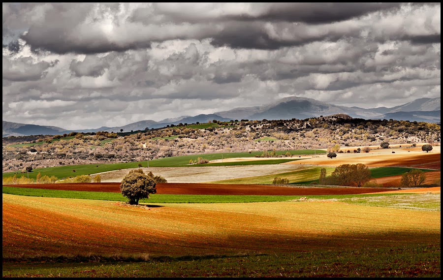 U-TOPÍA: CAMILO JOSÉ CELA, Viaje a la Alcarria.
