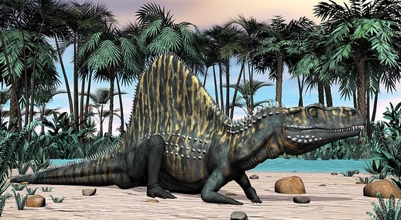 a mesozoic field guide: The Rauisuchians