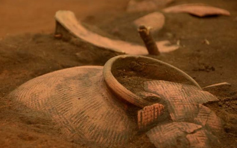 Trips Tours Travels Blog: “Muziris – The Ancient Spice Route”- A Day ...