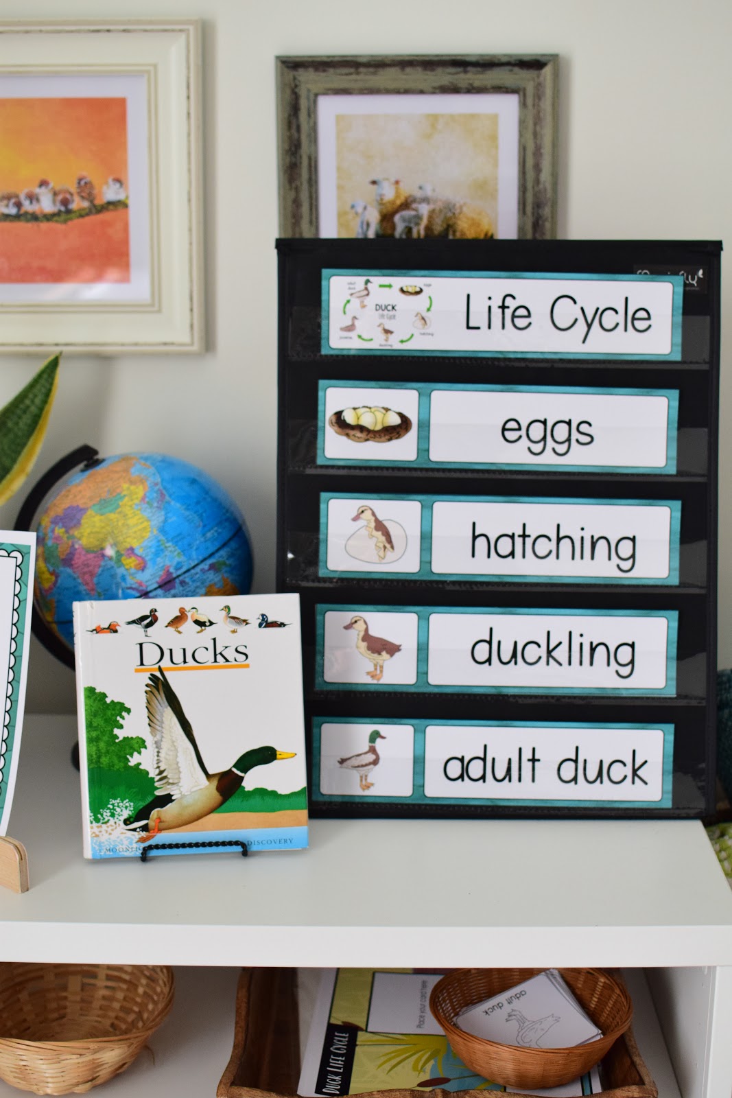 Spring Animal Life Cycles | The Pinay Homeschooler
