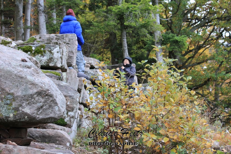 Autour du rocher du Coucou - Mes photos à travers l'Alsace