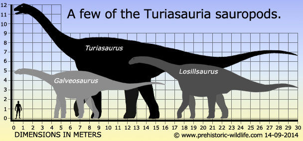 EL JOVE PALEONTÒLEG: Els Turiasaures (primera part).