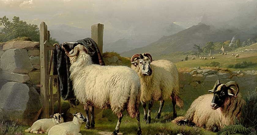 Chicks with Balls by Judy Takács: Highland Matriarch…inspired by ...