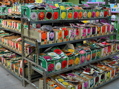 The Flower Bin: 220+ Varieties of Spring Planting Bulbs!