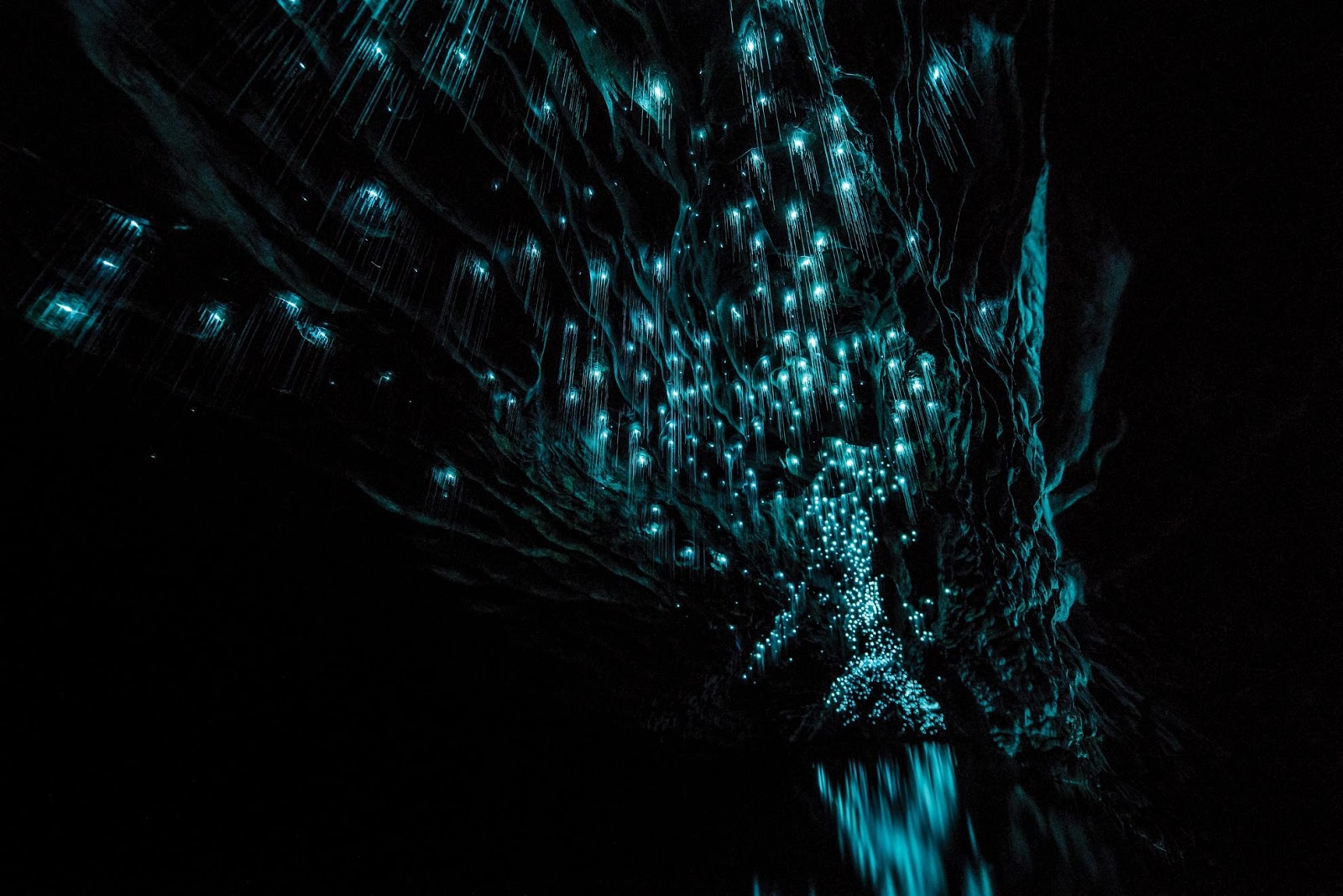 Floating Through The Waitomo Glowworm Caves - Explore Shaw Floating Through The Waitomo Glowworm Caves - Explore Shaw
