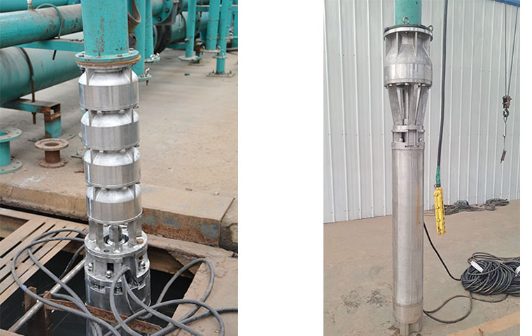 Seawater Submersible Pump: Seawater Submersible 316/316L Duplex ...