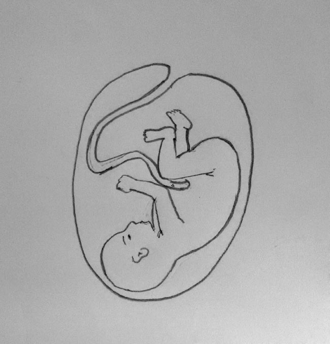 DRAW IT NEAT: How to draw human baby in womb