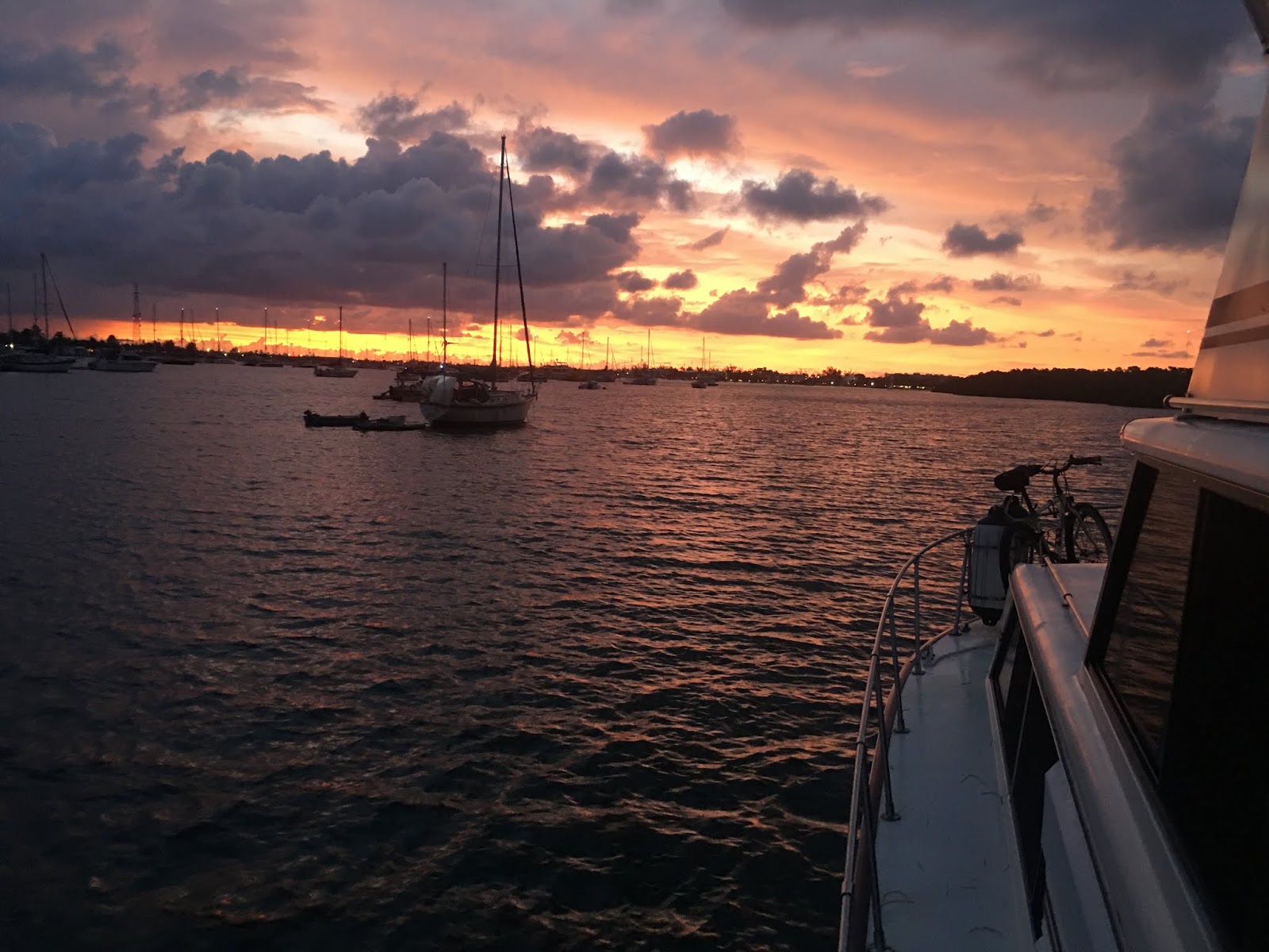 Aquaholic: Tuesday 6/2/2020 - Boot Key Florida (Marathon)