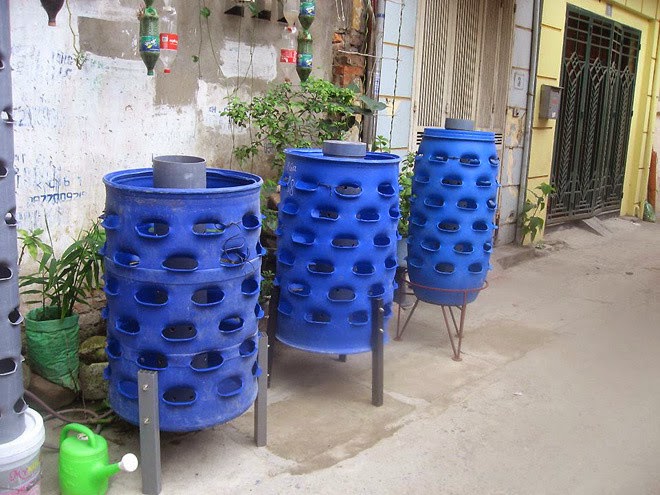 Growing vegetables in the plastic drums | | Feng Shui