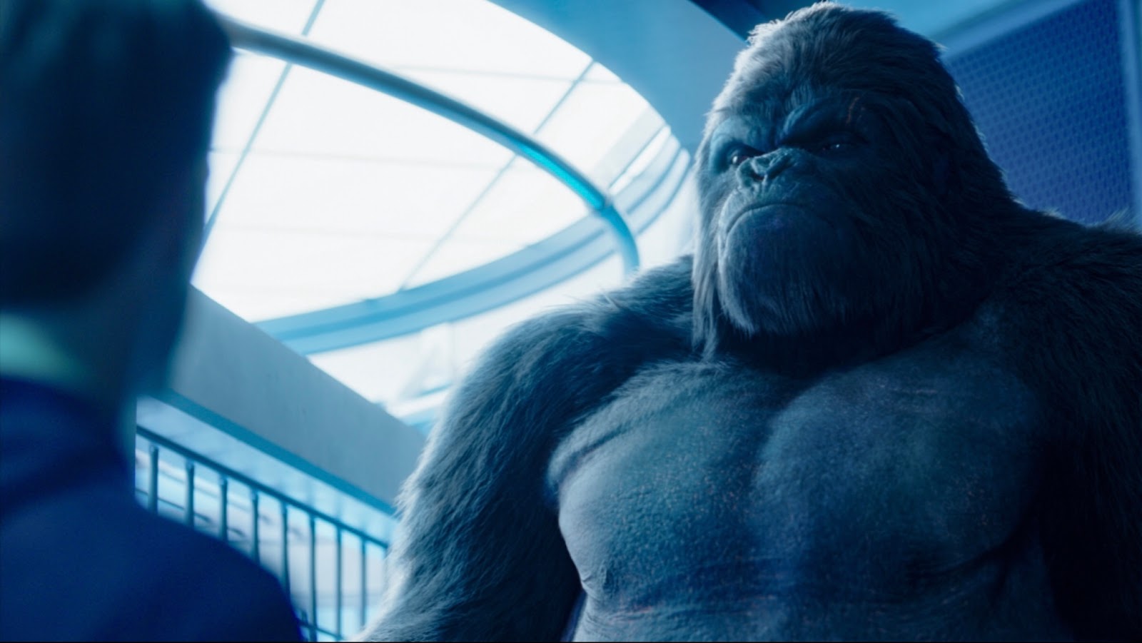 Doux Reviews: The Flash: Grodd Friended Me