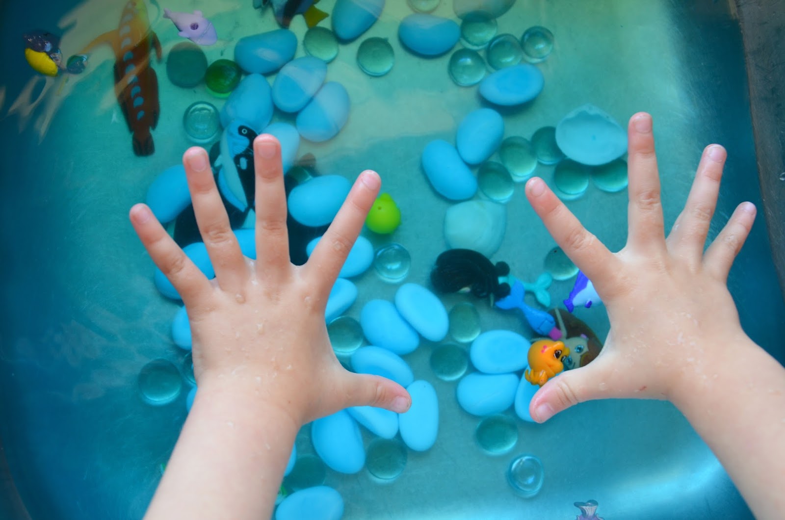 Being Water Wise {Junior Primary Science Ideas} - Teacher Types