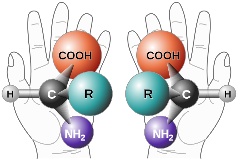 What is chirality? Importance in Nature.
