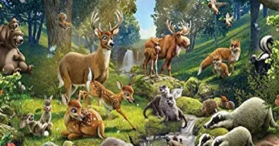 1st level in a Primary School : Forest animals