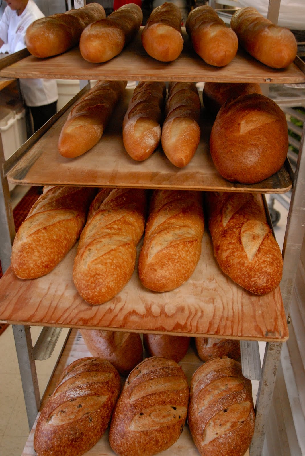 Lasater Grasslands Beef