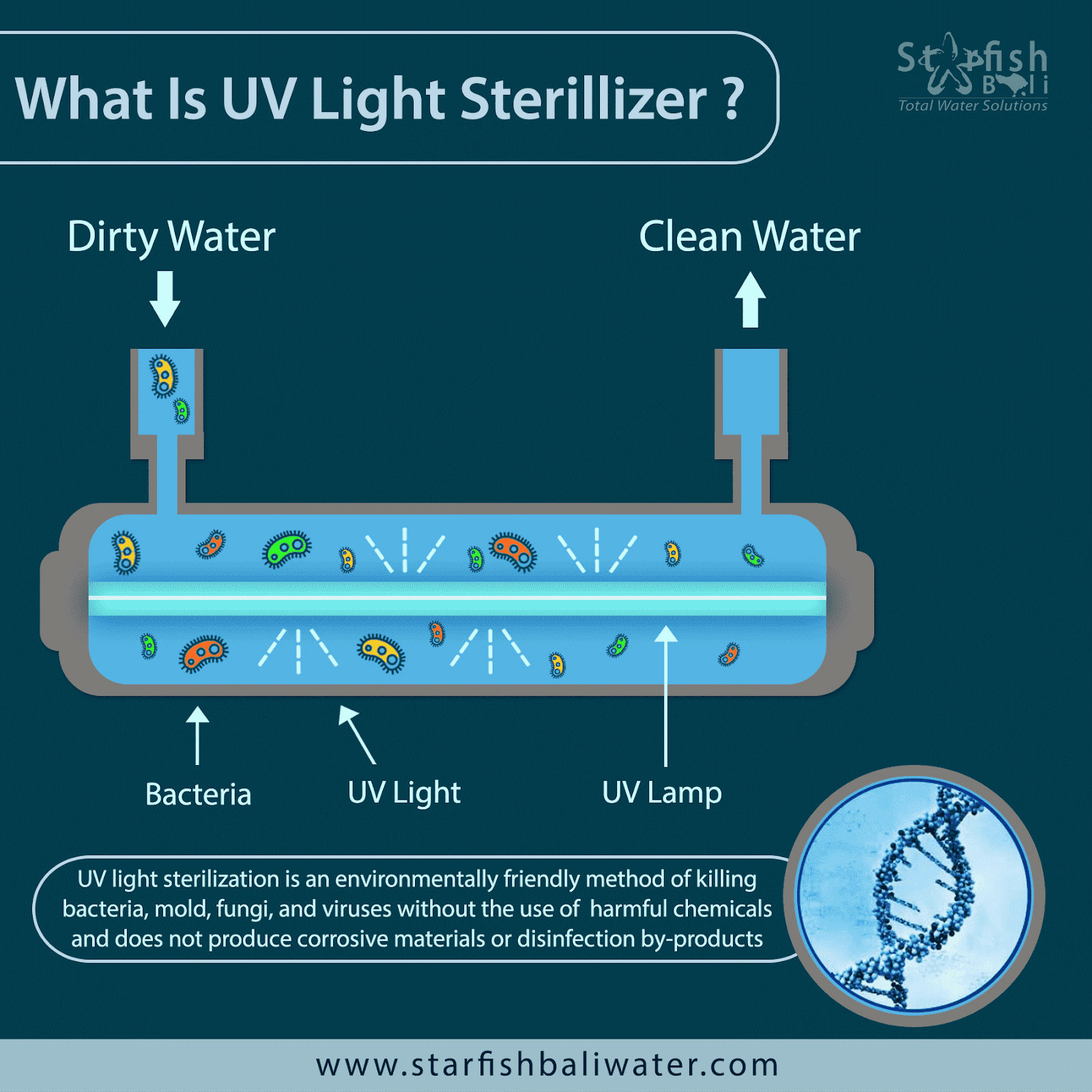 UV Light Sterillizer