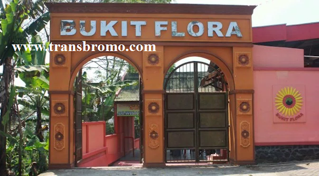 WISATA PASURUAN JAWA TIMUR: WISATA BUKIT FLORA KECAMATAN TUTUR ...