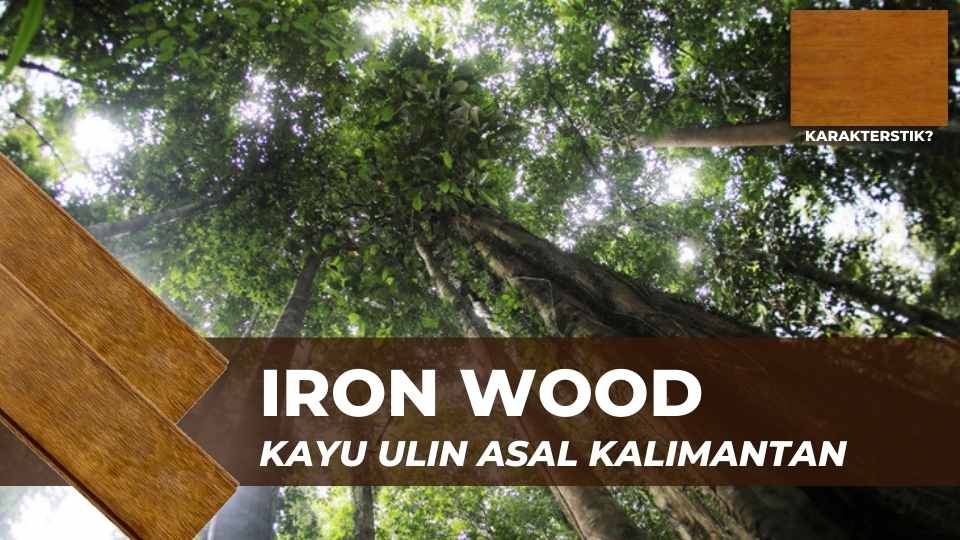 Keistimewaan Ulin "Kayu Besi" Khas Kalimantan Yang Terkenal - Toko ...