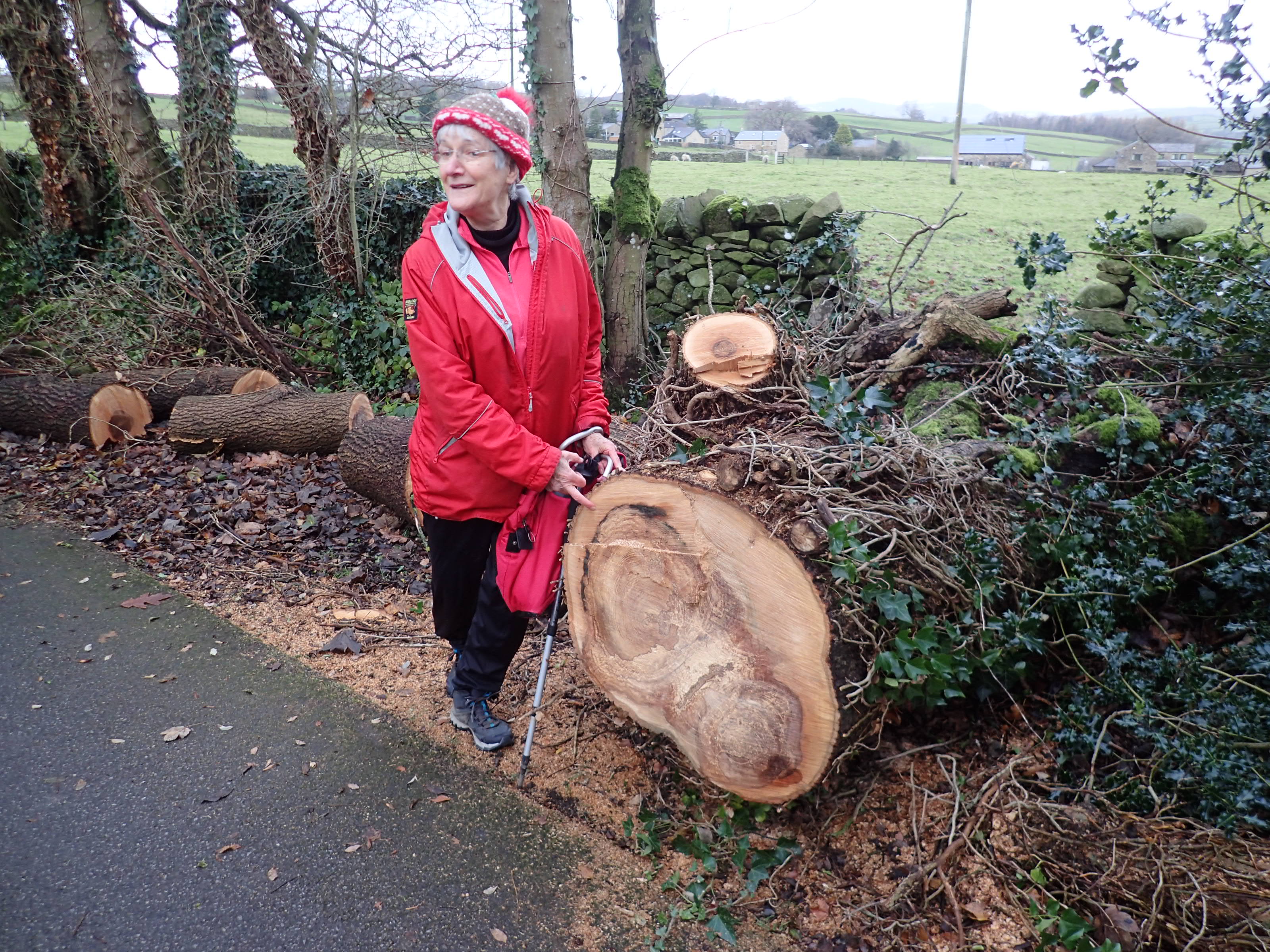 The Rainforest Fund Project: Rathmell -1 Dec 2021 Walk for the Climate ...