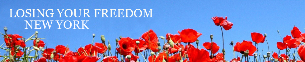 New York Losing Your Freedom