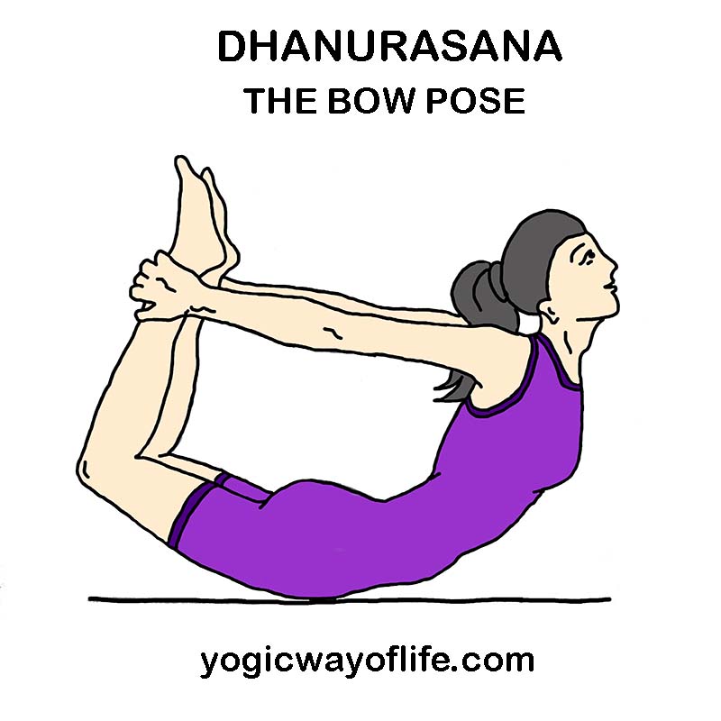 Dhanurasana - Bow Pose ~ Yoga