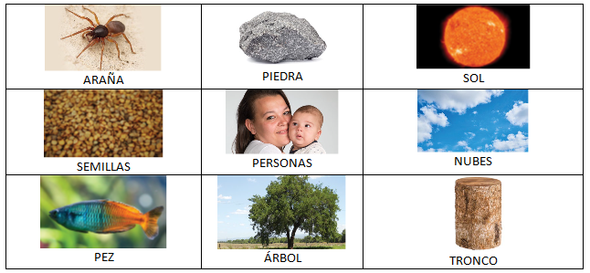 EPP N° 29 Juana Manso: marzo 2021