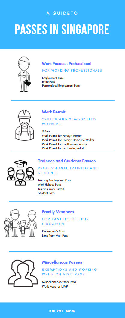 Types of Passes for entry to Singapore : Explained - TheWackyDuo.com ...