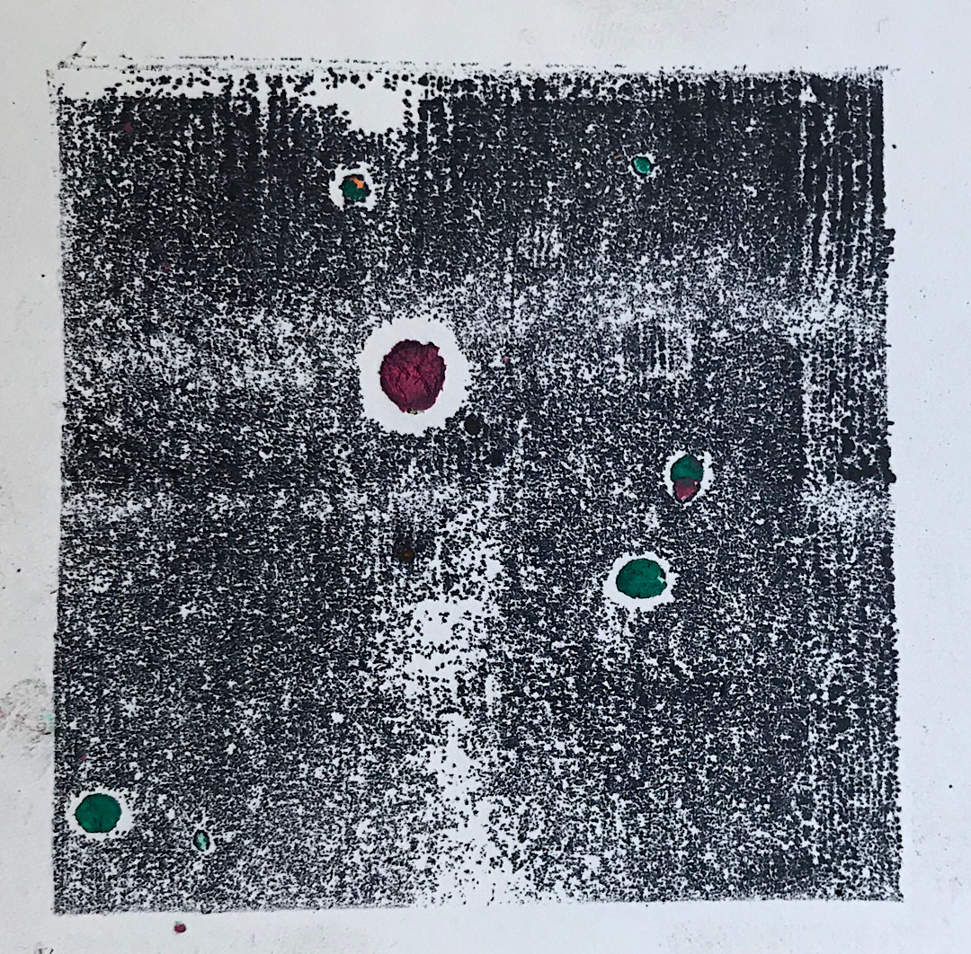 Colony morphology, capsules and negative staining with Indian ink ...