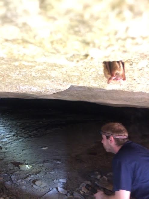 Soul Searchin: The Saltpeter Cave