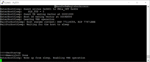 Satoshi's note: S3 Sleep, Resume and Handling Them with Type-1 Hypervisor