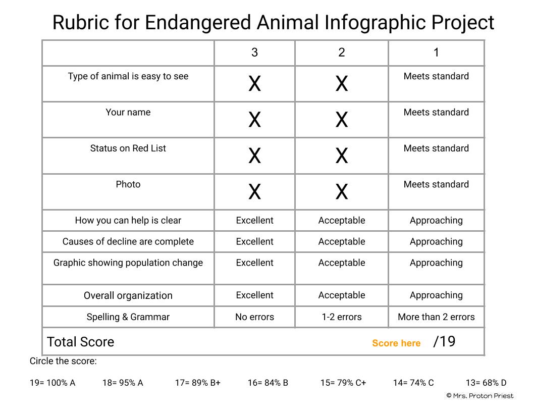 Infographic Project Rubric