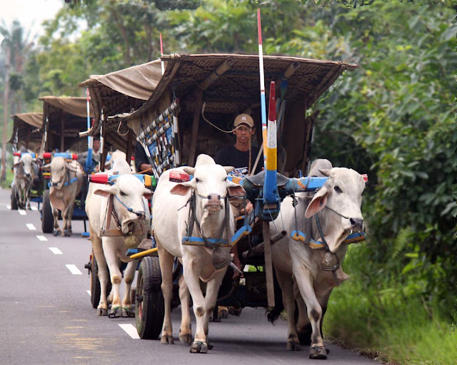 Priority Auto Zone: Cikar dalam sejarah dan Kenangan Kasa Kecil