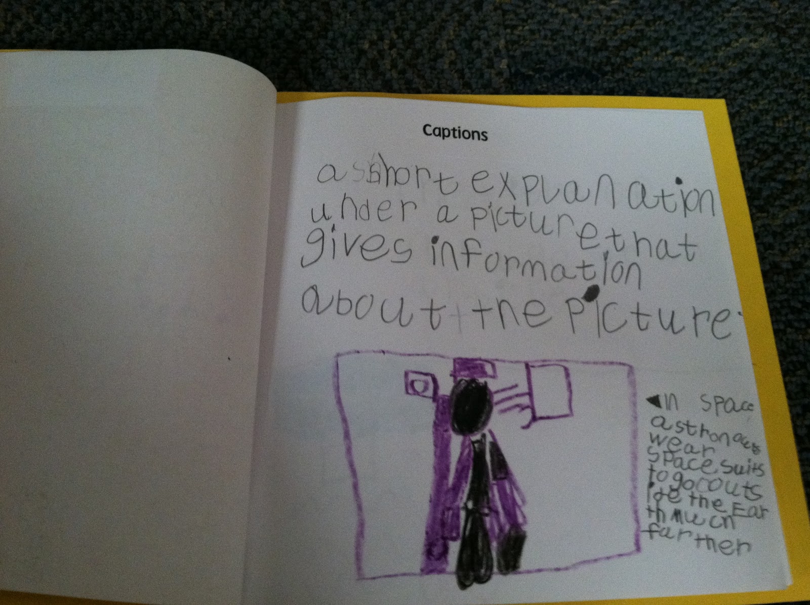 Team J's Second Grade Fun: Day #3 - Non-Fiction Text Features - Captions