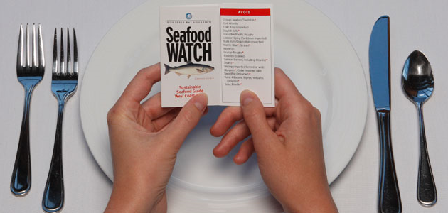 Monterey bay aquarium seafood watch ~ Christine O'Donnell