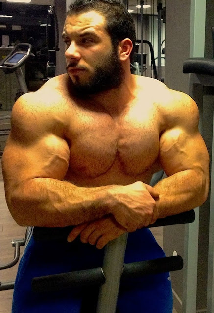 world bodybuilders pictures: french beautiful fitness model and ...