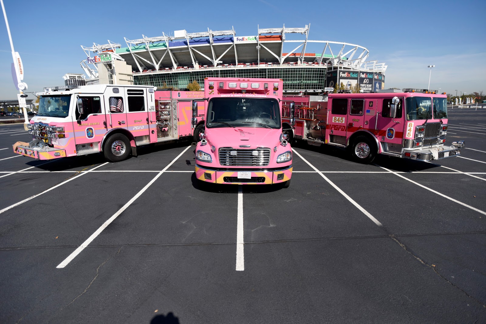 The PGFD Pink Story