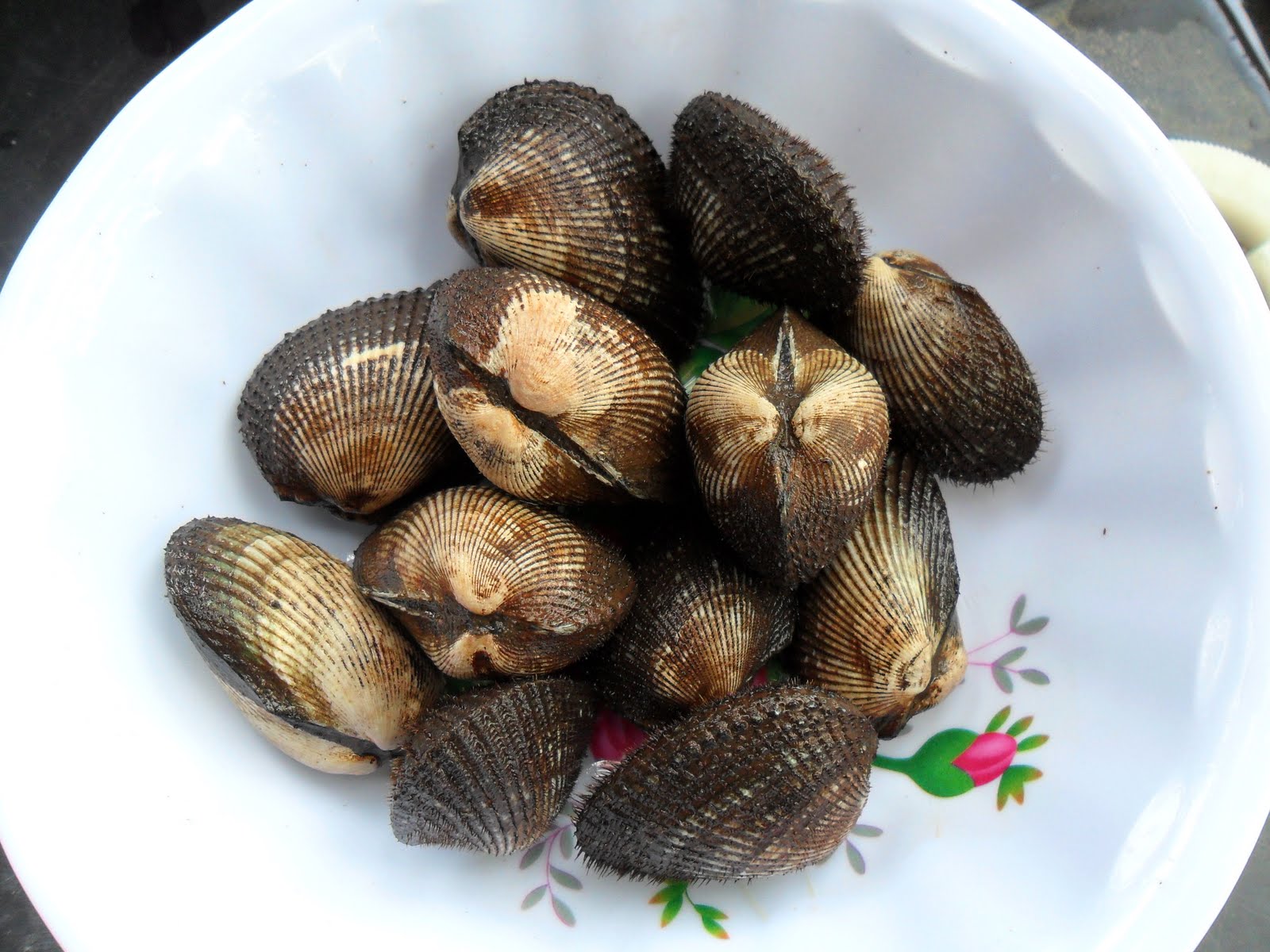 My Colorful World: Ceviche de Concha