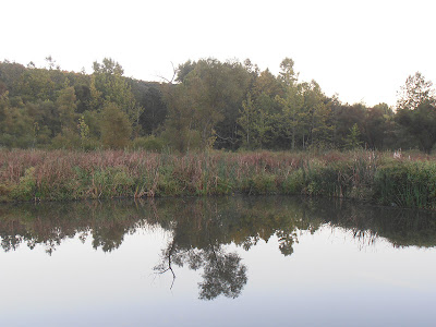 American Travel Journal: Cuyahoga Valley National Park - Beaver Marsh