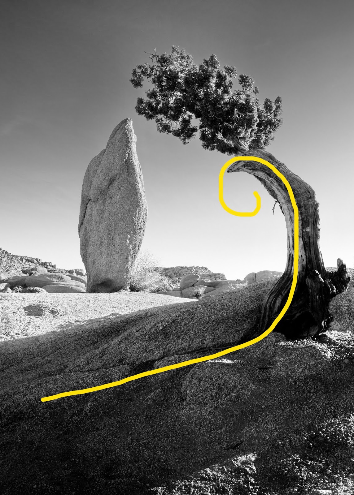 Diana Collado: 2º ÁLBUM: LA COMPOSICIÓN.