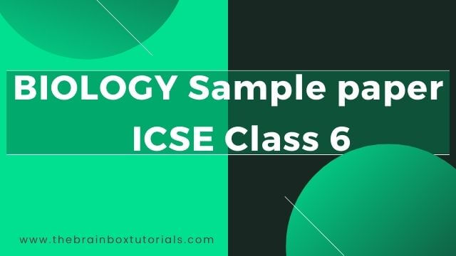 Download ICSE Class 6 Biology Sample Paper For 2021 Free PDF download-icse-class-6-biology-sample-paper-for-2021-free-pdf