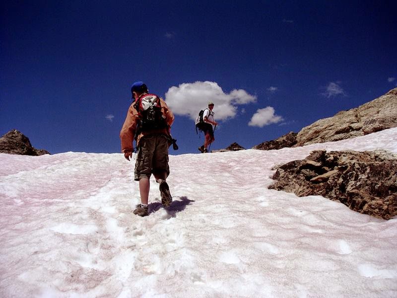 Watermelon Snow | Sierra Nevada Mountains California