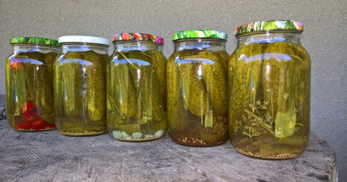 Profa köögipool: Viiel moel üle võlli kurgid