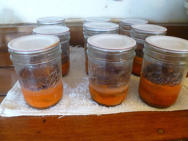 Rural Revolution: Canning pepperoni (well why not?)