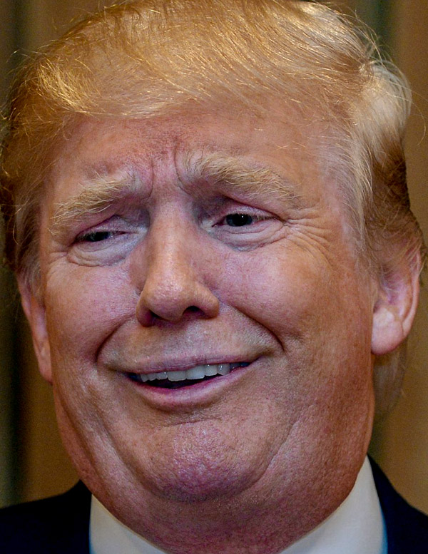 Northern Reflections: An Orange Idiot